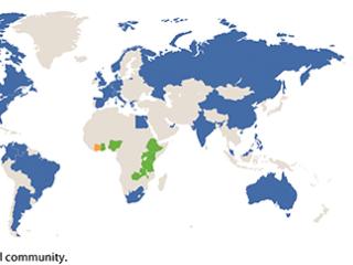 Knowledge without Borders: Reflecting on a Decade of Intelle