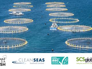 Clean Seas Seafood Achieves ASC Certification