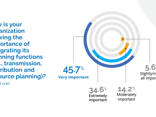 United They Stand: DER and Non-Wire Alternatives Are Pulling