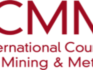 Building Forward Better - Towards a More Resilient Future