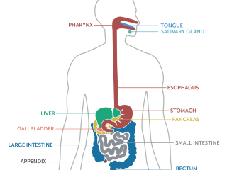 Top 5 Takeaways from the Nourishment #WELLography