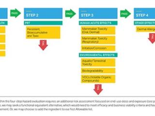 SC Johnson Sets a New Standard in Transparency