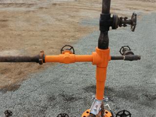 20 Things to Know About CTV at 20 Years Old