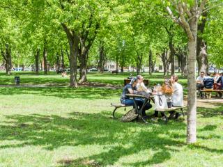 6 Ways Urban Trees Make You More Active Outdoors