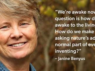 From a Meme to a Movement: 25 Years of Biomimicry