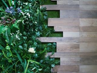 Top 5 Takeaways from the Mind #WELLography