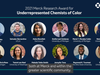 Merck Scientists Launch Research Award to Support Rising Che