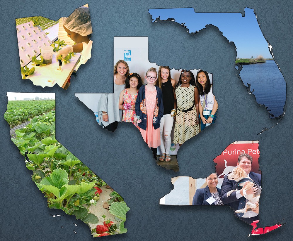 Global Ambition, Local Action: How 5 U.S. Communities...