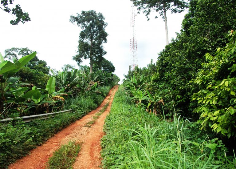 Biodiversity Conservation Demonstrating Gains in Ghana