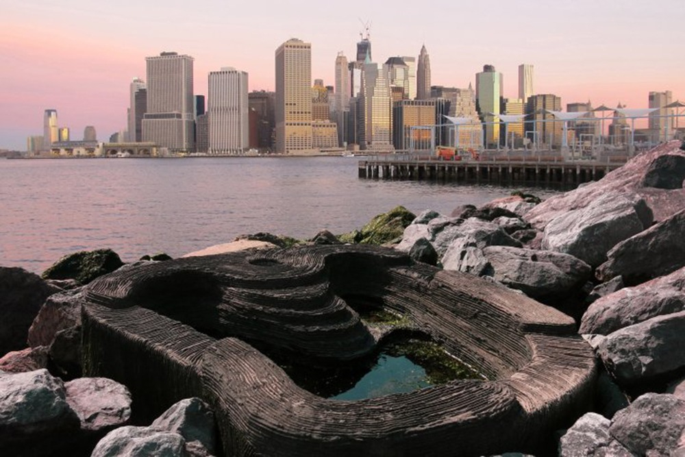 ECOncrete Turns Marine Infrastructures into Thriving Natural