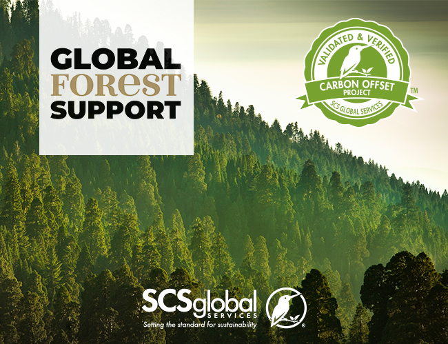 First European Improved Forest Management Carbon Offset