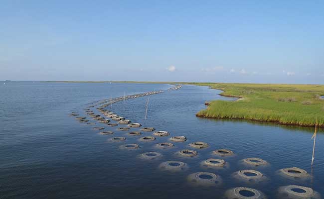 Living Shoreline Demonstration Project | Restoring and...