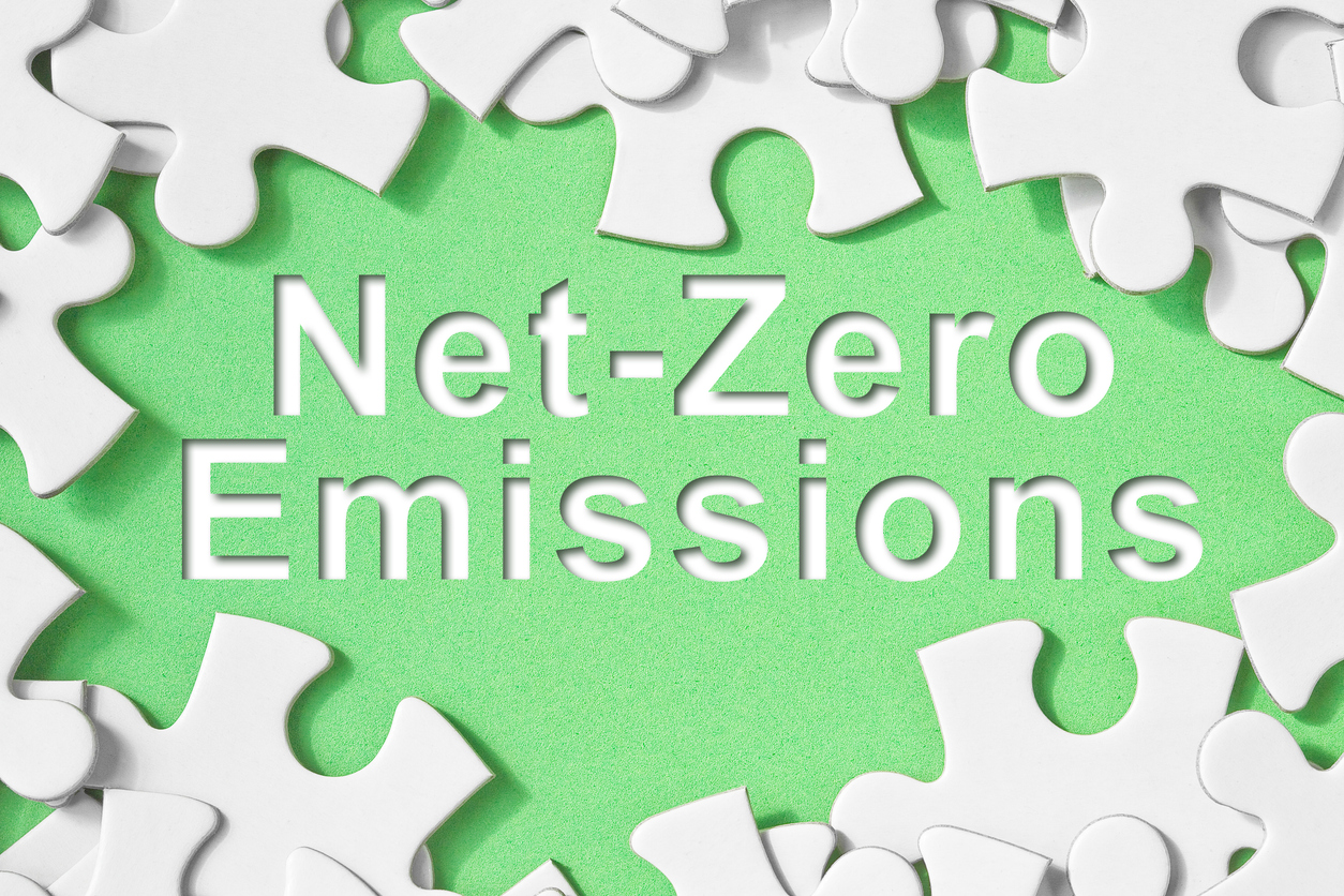 Economic Opportunities and Challenges of Net-Zero Transition