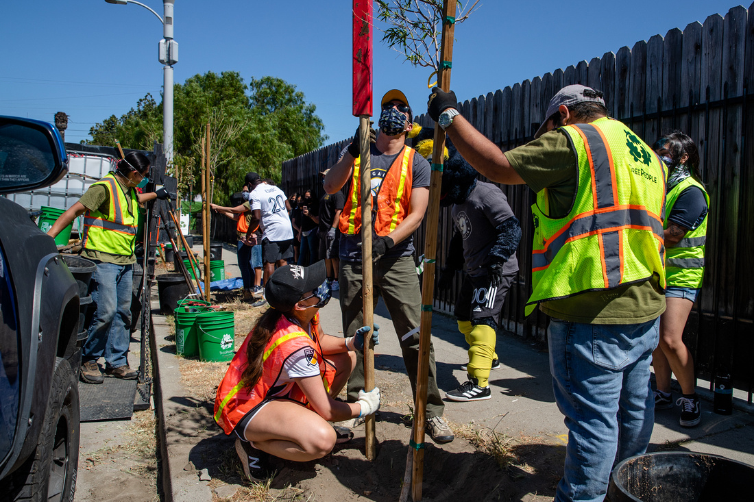 LA Galaxy and TreePeople Plant Trees in Watts, Los Angeles