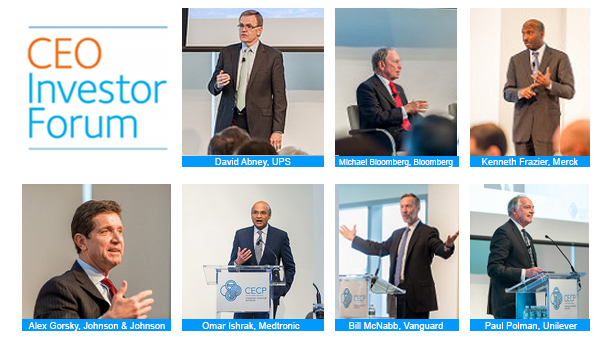 Making Waves: the Strategic Investor Initiative's...