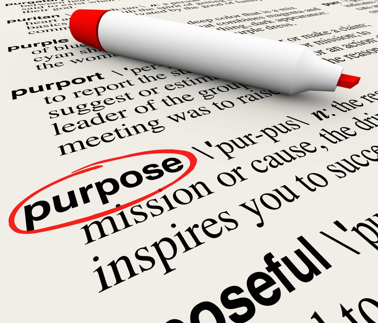 How Purpose and Culture Are Driving Sustainable,...