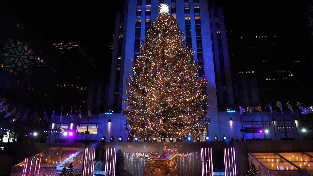 Spreading Holiday Cheer: How One Tree Becomes 50,000