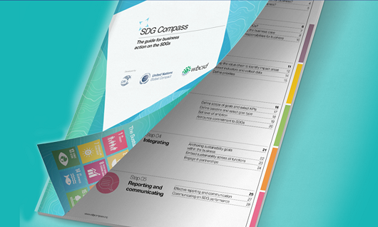 New Indicators in the SDG Compass