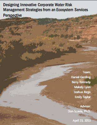 Designing Innovative Corporate Water Risk Management...