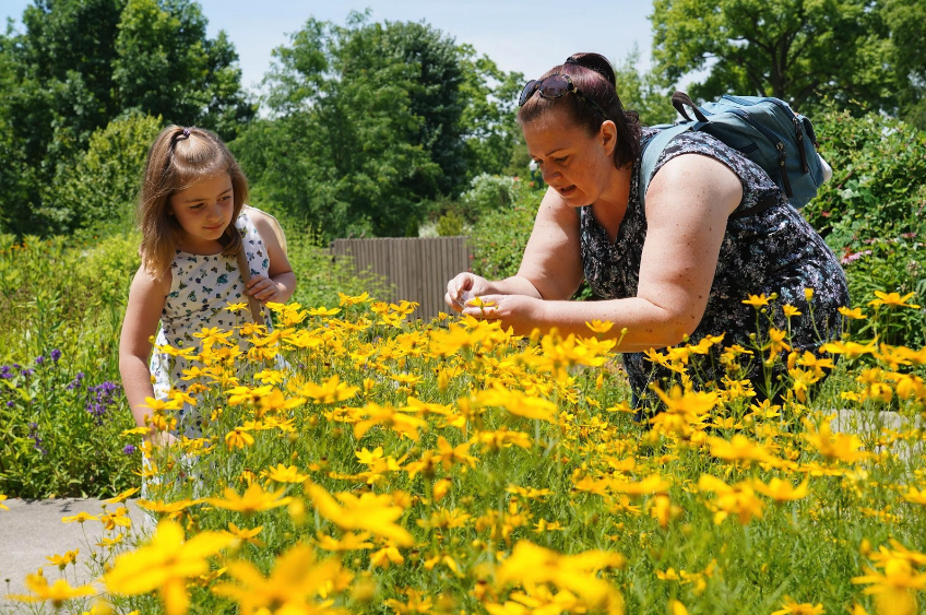 Raising Awareness for the Pollinator Crisis: Results of Sco