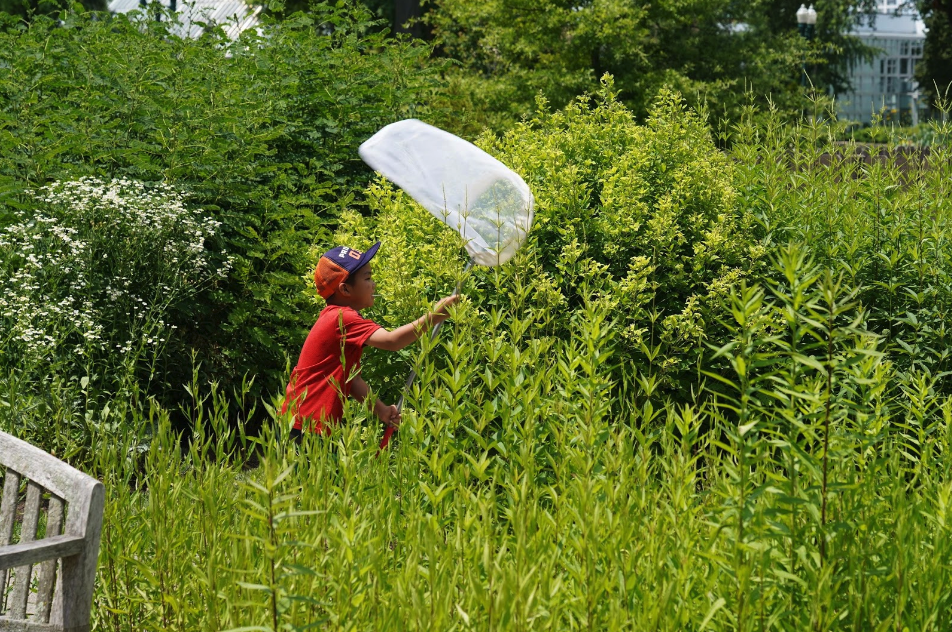 Raising Awareness for the Pollinator Crisis: Results of Sco