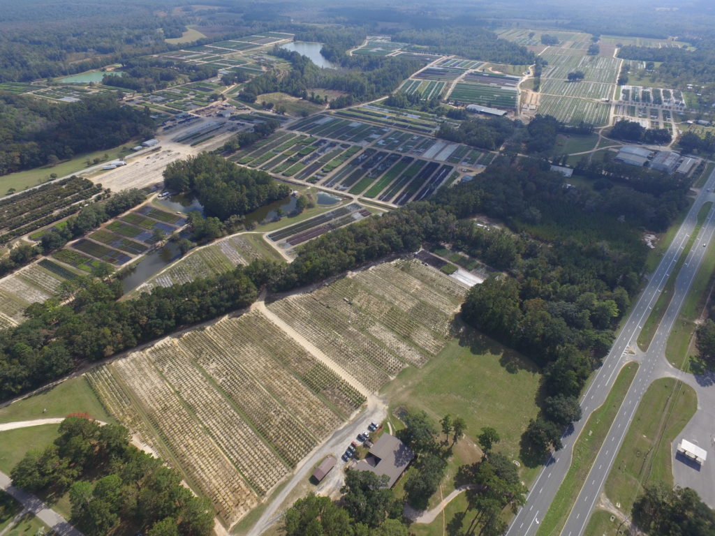 Simpson Nurseries Helps Deliver Trees to Homeowners