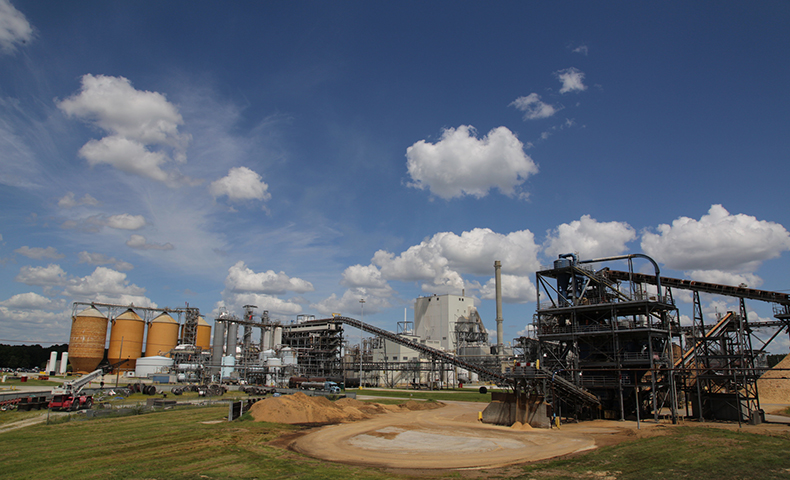 Waste-Reduction Initiatives: A Key Part of Sustainability