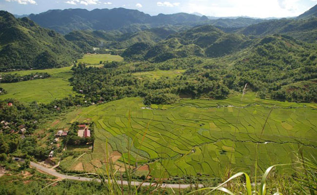 Weighing Approaches to Reduce Land-Use Greenhouse Gas Emissi