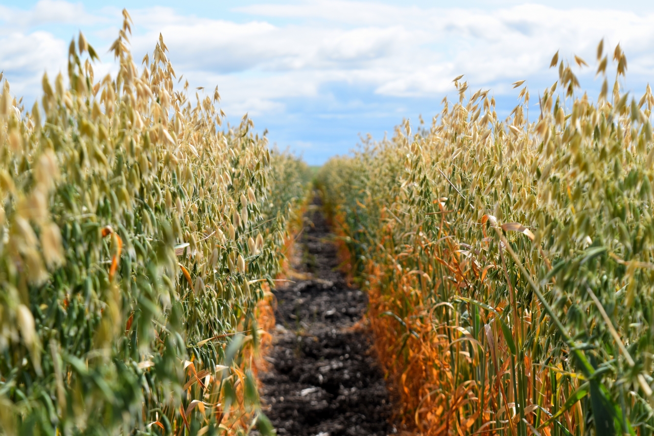General Mills to Advance Regenerative Agriculture...