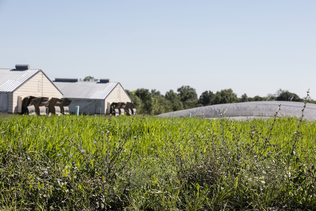 Smithfield Foods and RAE Partner to Produce Renewable...