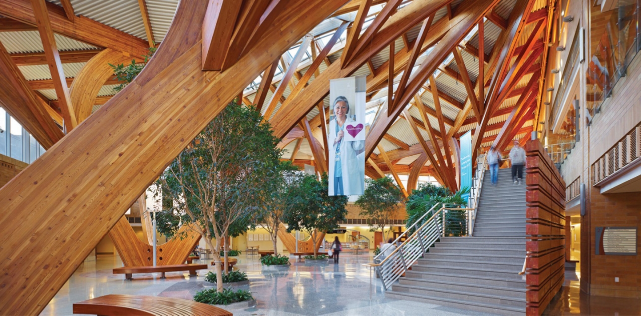 Wood You Believe: Mass Timber Leading a Renaissance