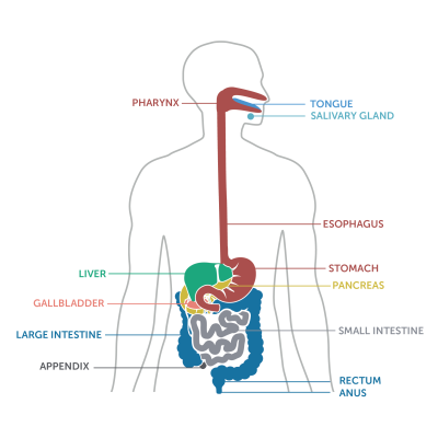 Top 5 Takeaways from the Nourishment #WELLography