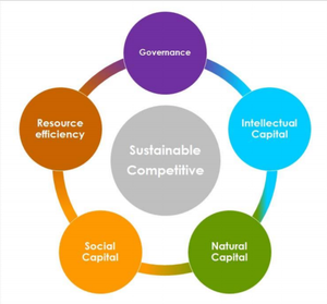 The Global Sustainable Competitiveness Index 2017
