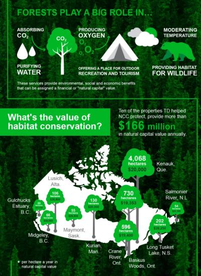 Can We Put a Price on Forest Conservation? TD and Nature...