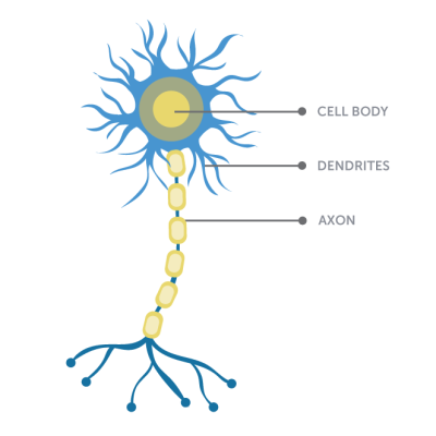 Top 5 Takeaways from the Mind #WELLography