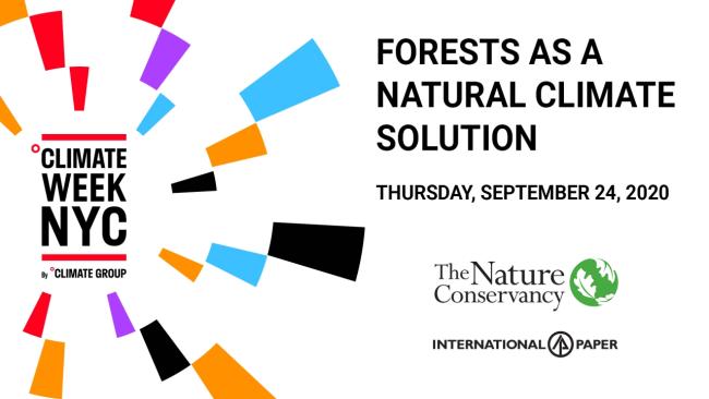 Climate Week NYC 2020: Don't Miss International Paper and Th