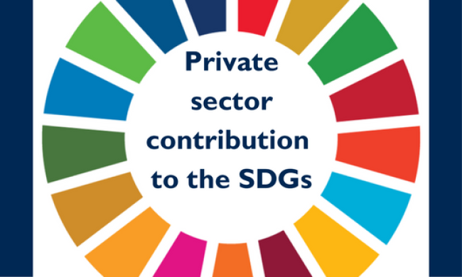 Reporting on the SDGs: Measuring Today’s Contributions...