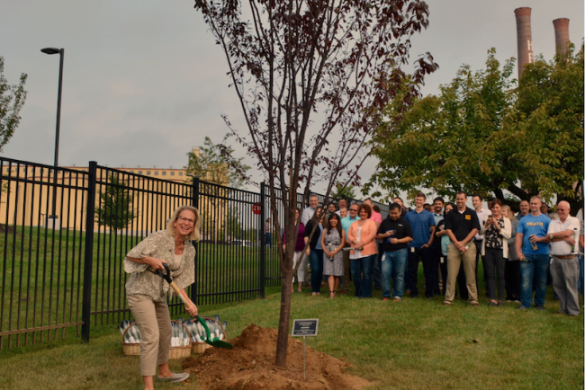 A Message From Hershey CEO Michele Buck