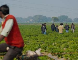 Innovation to Help Farmers Protect Their Harvests