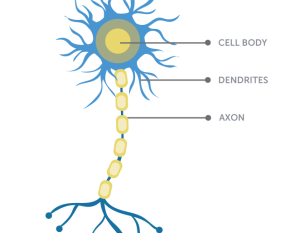 Top 5 Takeaways from the Mind #WELLography