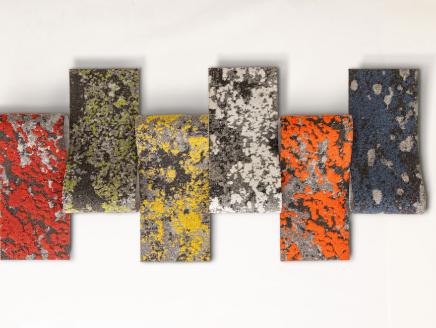 Mohawk Group’s Lichen Wins Interior Design Best of...