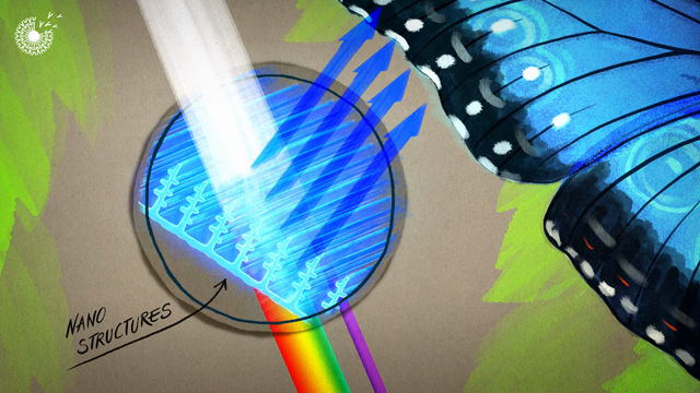 Cypris Materials Introduces Nature Inspired, Tunable, Struct